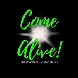 The Woodlands Libraries