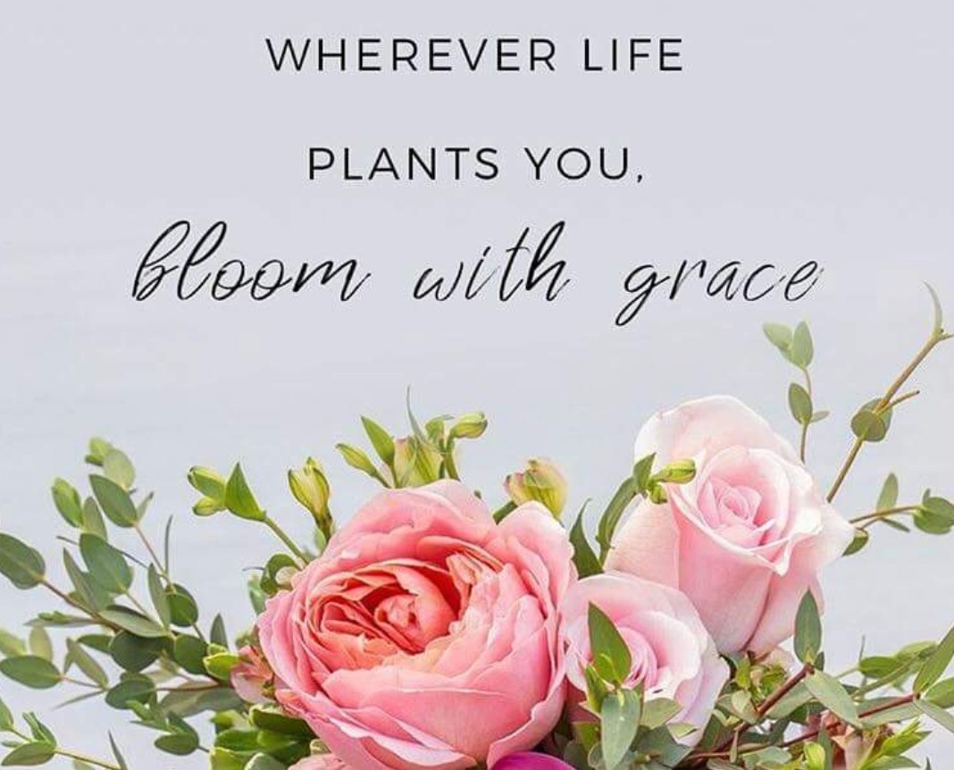 Bloom with grace