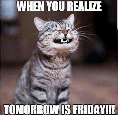 HAPPY FRIDAY EVE!!! Even though every day is the same for the st