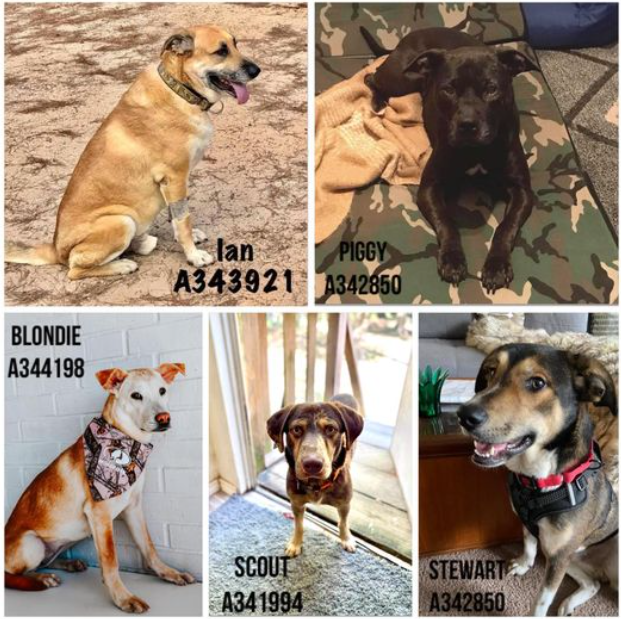 Featuring Foster Friday