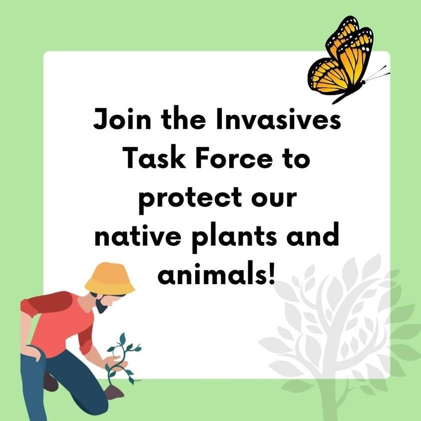 Protecting Our Forests: Invasive Species Awareness and Action