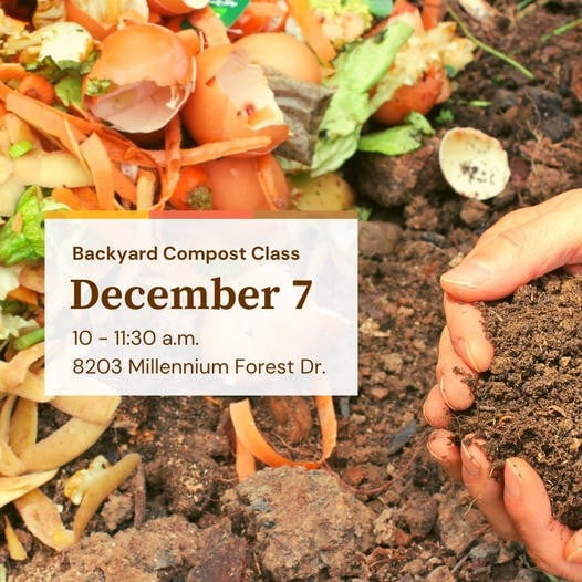 Master the Art of Composting in Your Backyard