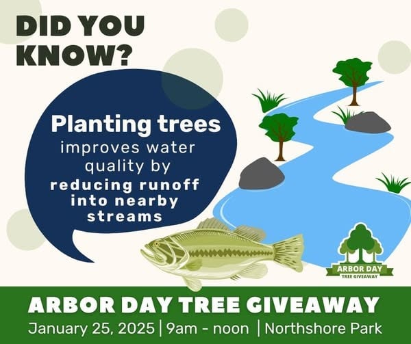 Learn How Native Trees Improve Water Quality at Arbor Day